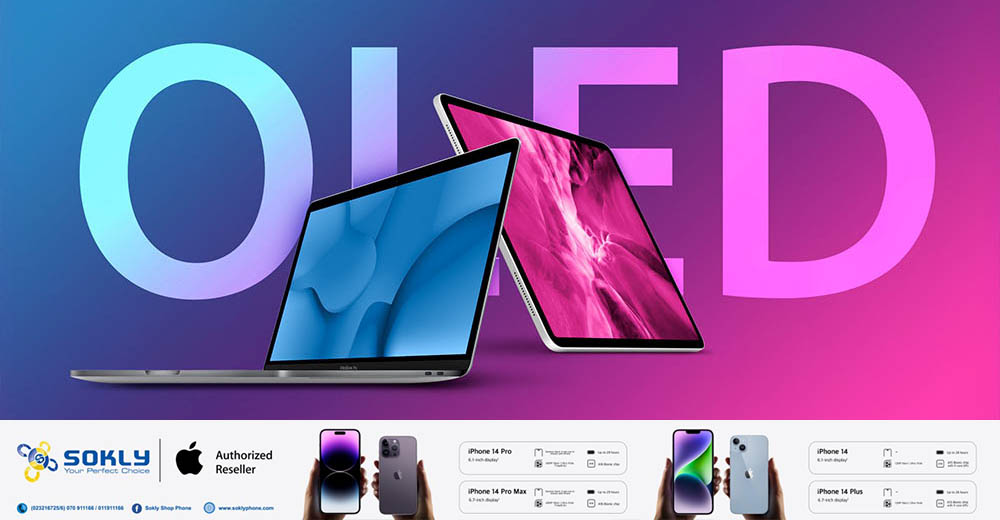 ទំព័រដើម | Cambo Report