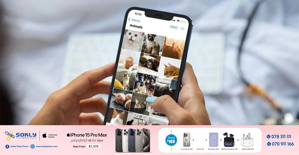 ទំព័រដើម | Cambo Report